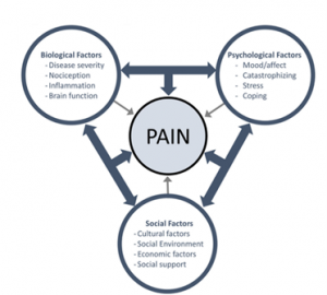 How does Pain Work? - Auscare Physio Caboolture